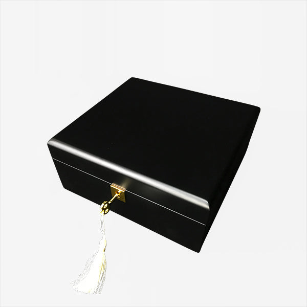 BX011 Luxury Watch Box With Pillow And Painting finish – TUTU DISPLAY