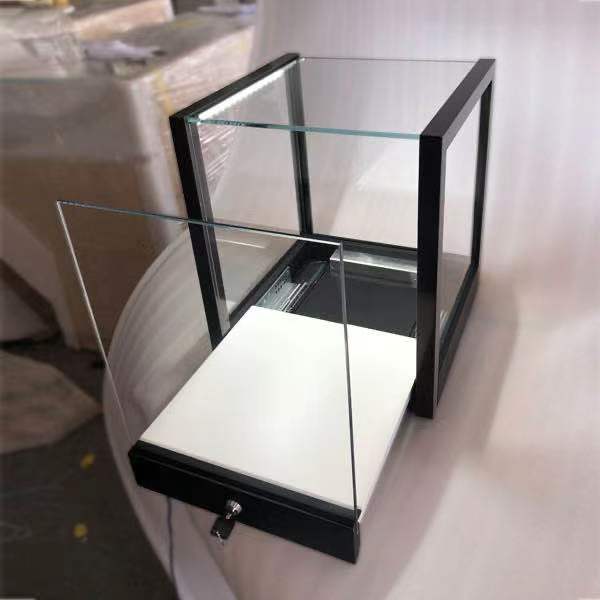 DM-33 Custom Made Glass Display Case – TUTU DISPLAY