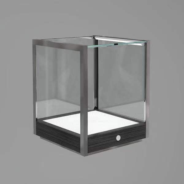 DM-33 Custom Made Glass Display Case – TUTU DISPLAY